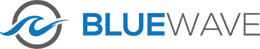 Services | Bluewave Data Solutions